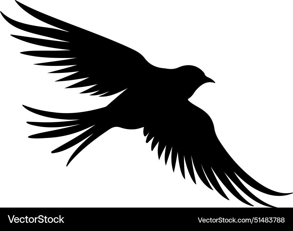 Swift bird silhouette white background Royalty Free Vector