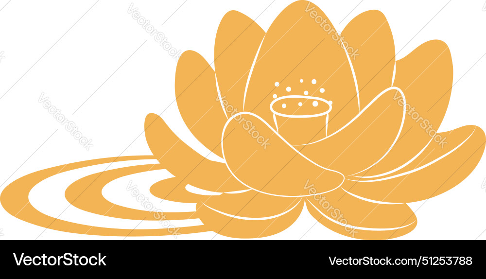 Traditional asian lotus flower with leaf Vector Image