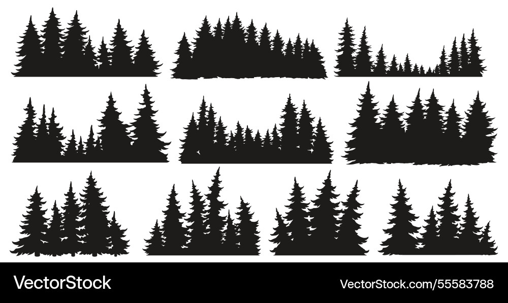 Various silhouettes of pine trees in clusters Vector Image