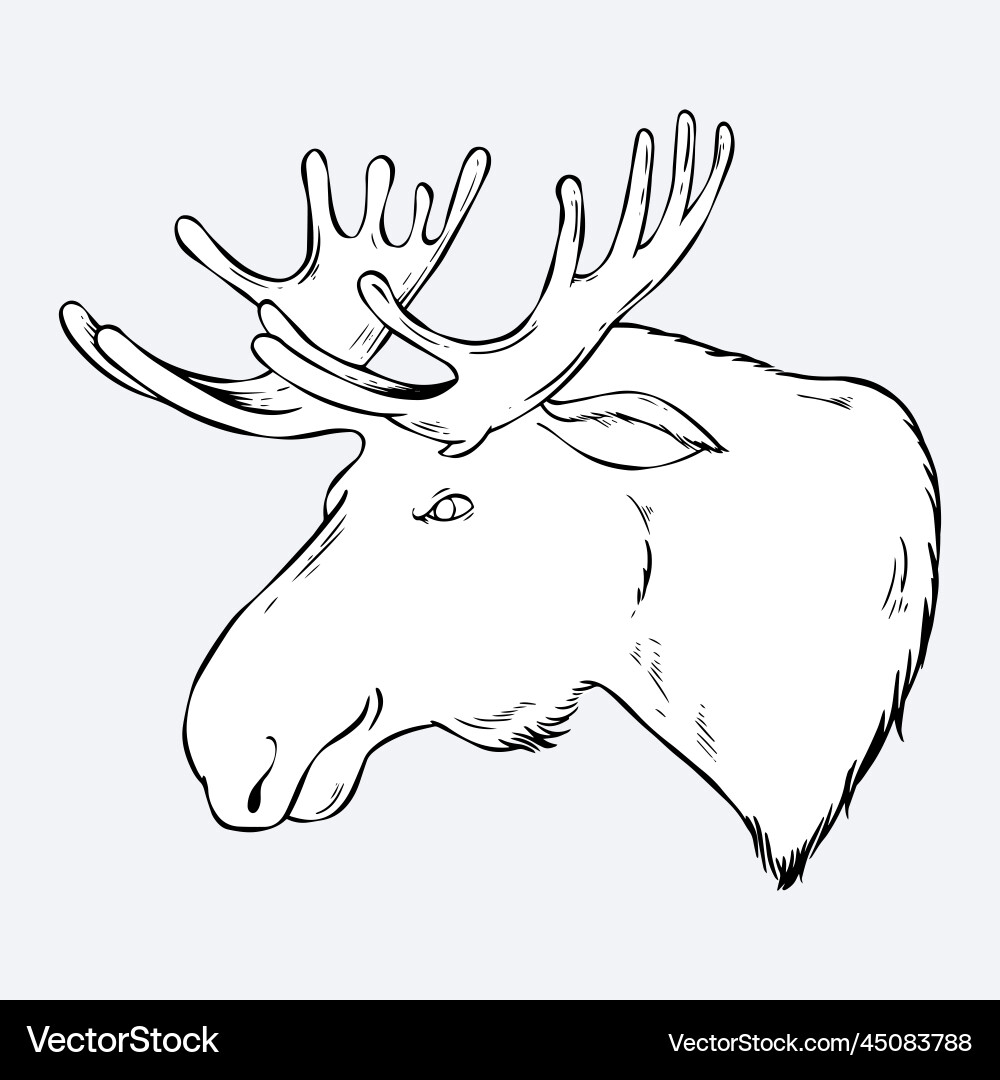 Vintage Black and White Moose Clip Art Royalty Free Vector