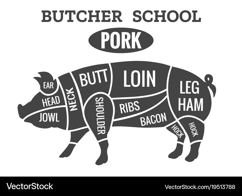 Vintage Pork Cut Diagram Royalty Free Vector Image