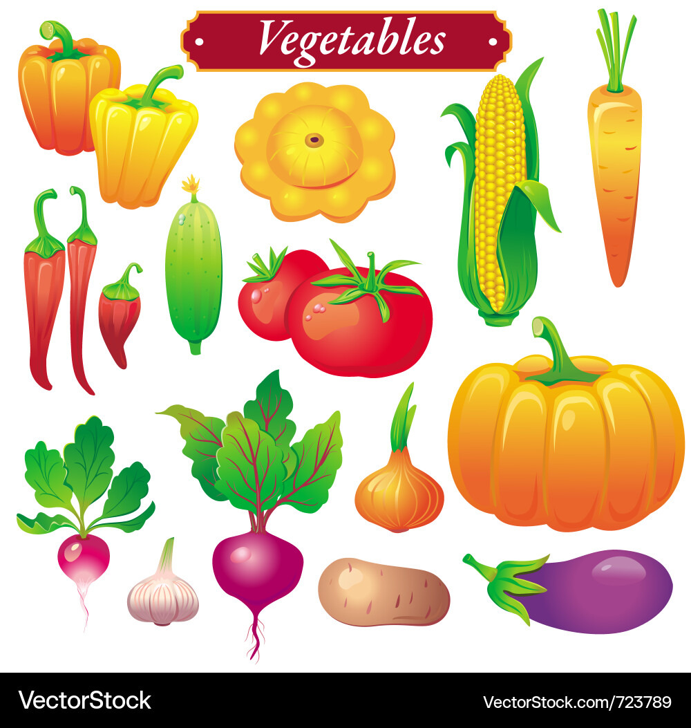 Assorted Vegetables Royalty Free Vector Image - VectorStock