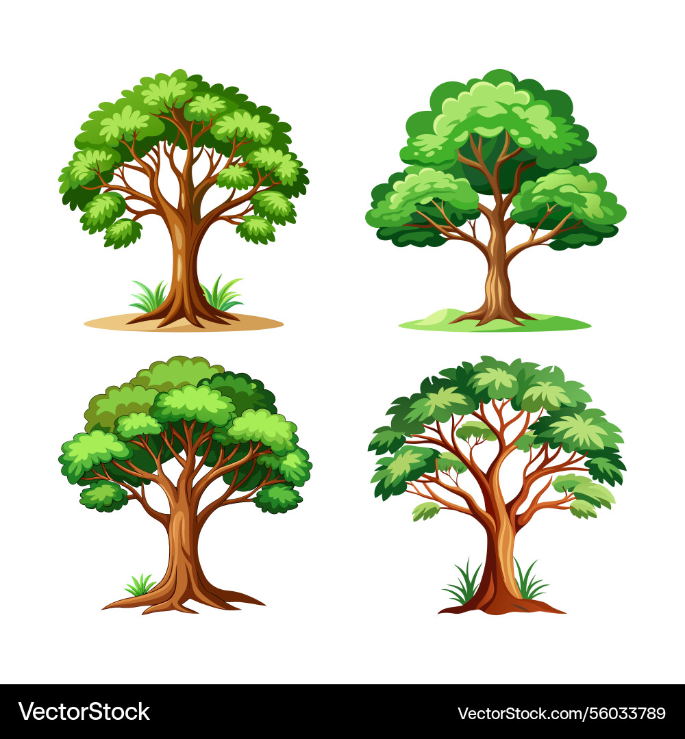 Baum Lizenzfreies Vektorbild - VectorStock