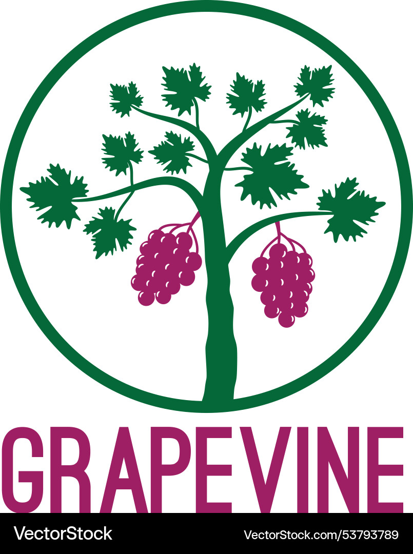 Grape vine fruit plant inside circle logo design Vector Image