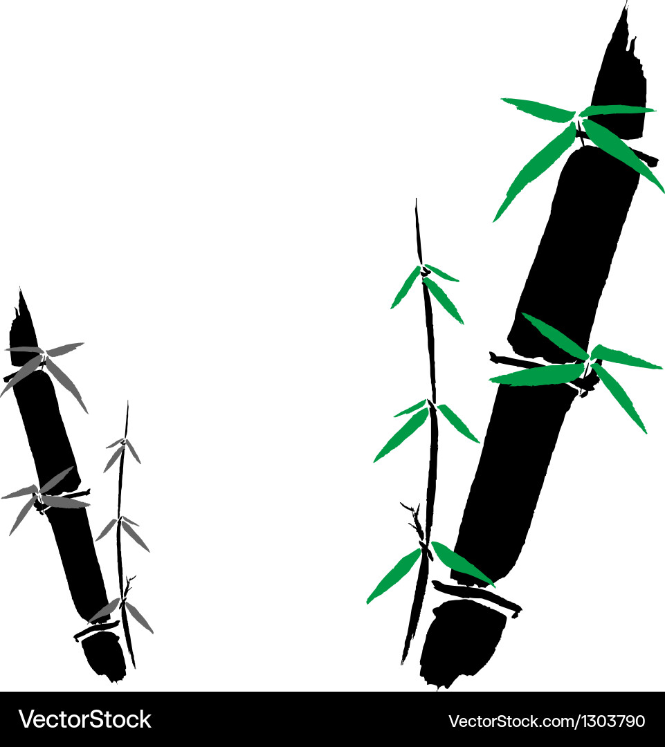 Bamboo Royalty Free Vector Image - VectorStock