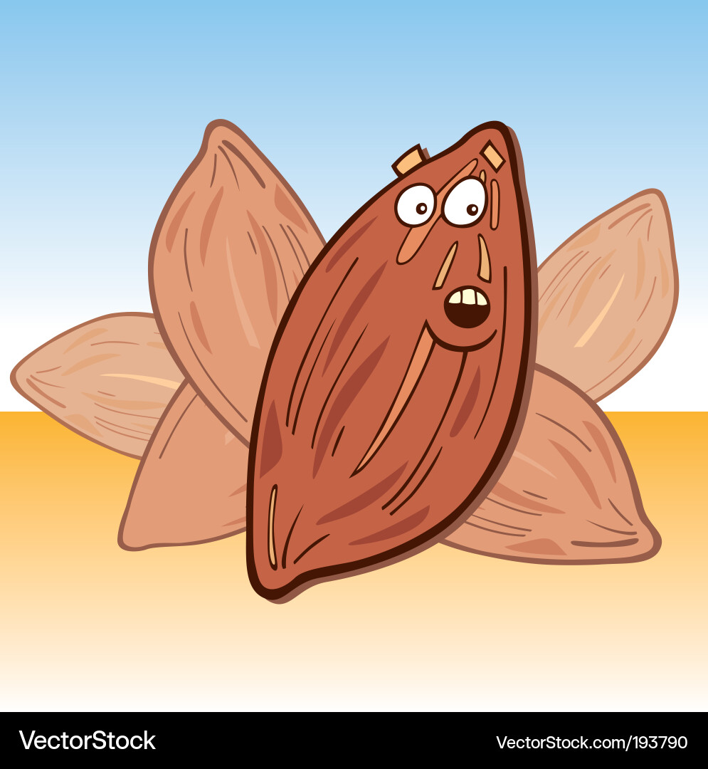 Funny almond Royalty Free Vector Image - VectorStock