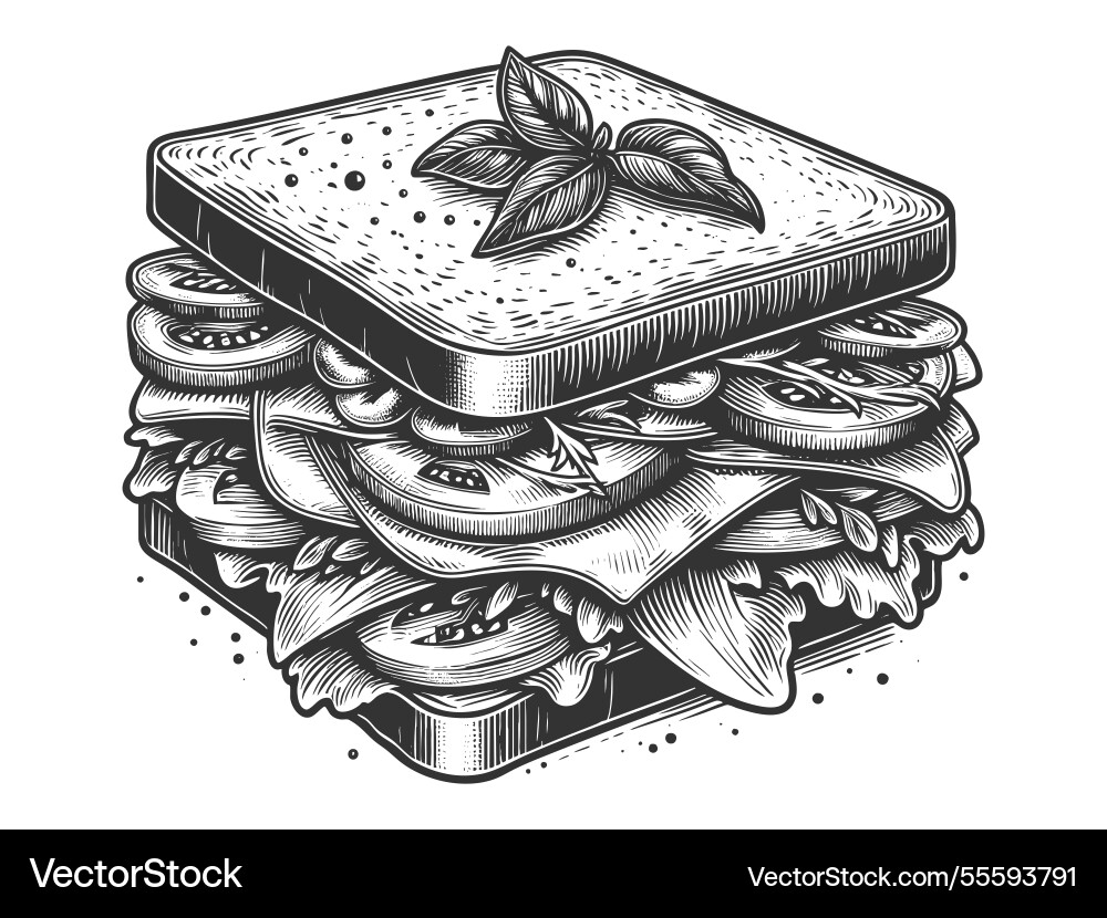 Sandwich Royalty Free Vector Image - VectorStock