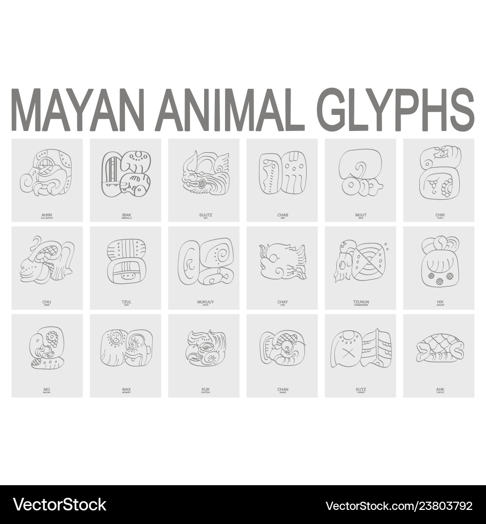 Mayan animal glyphs Royalty Free Vector Image - VectorStock