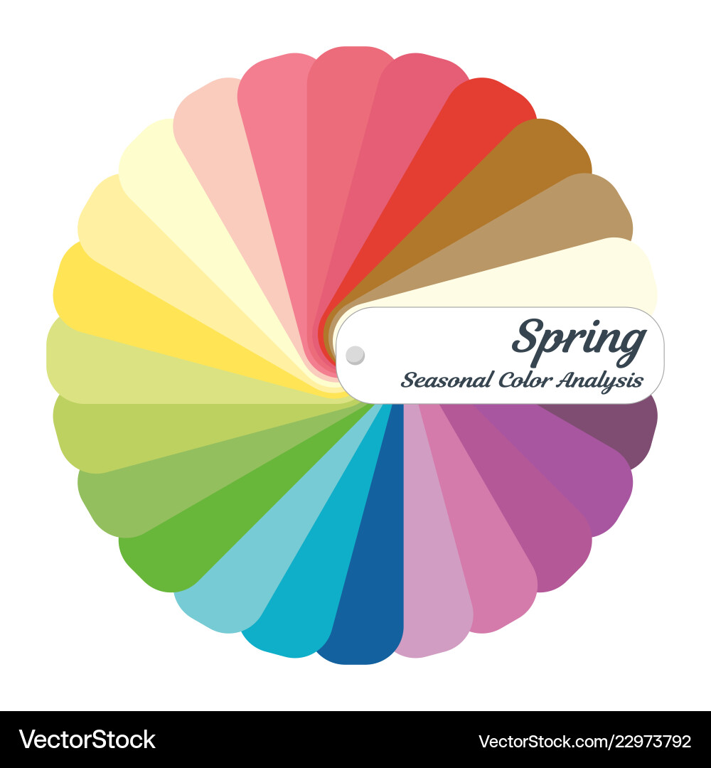 Seasonal Color Analysis Palette Royalty Free Vector Image