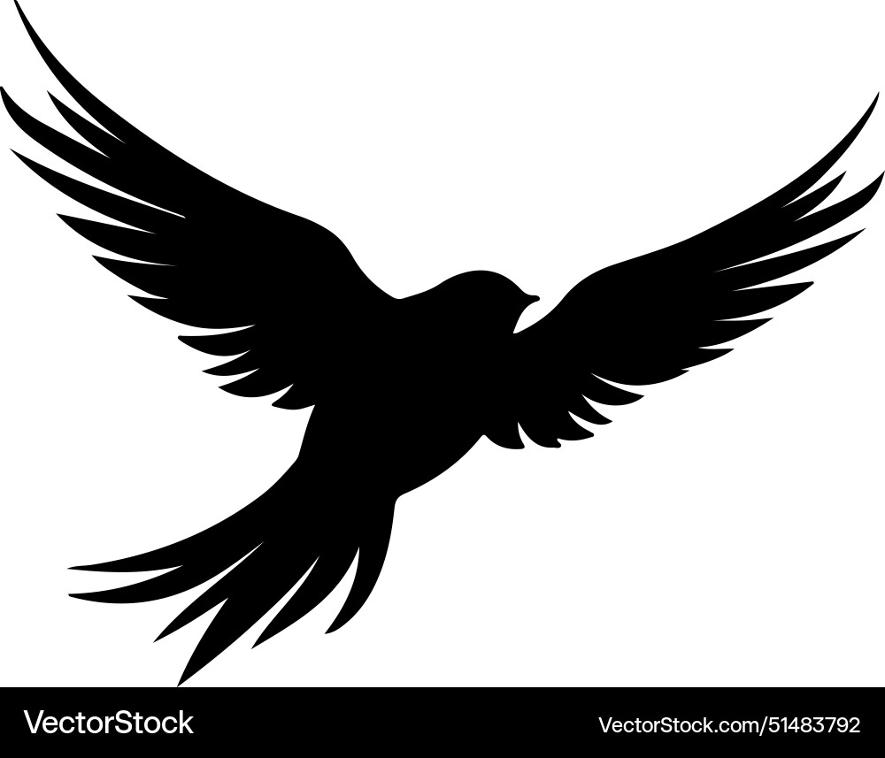 Swift bird silhouette white background Royalty Free Vector