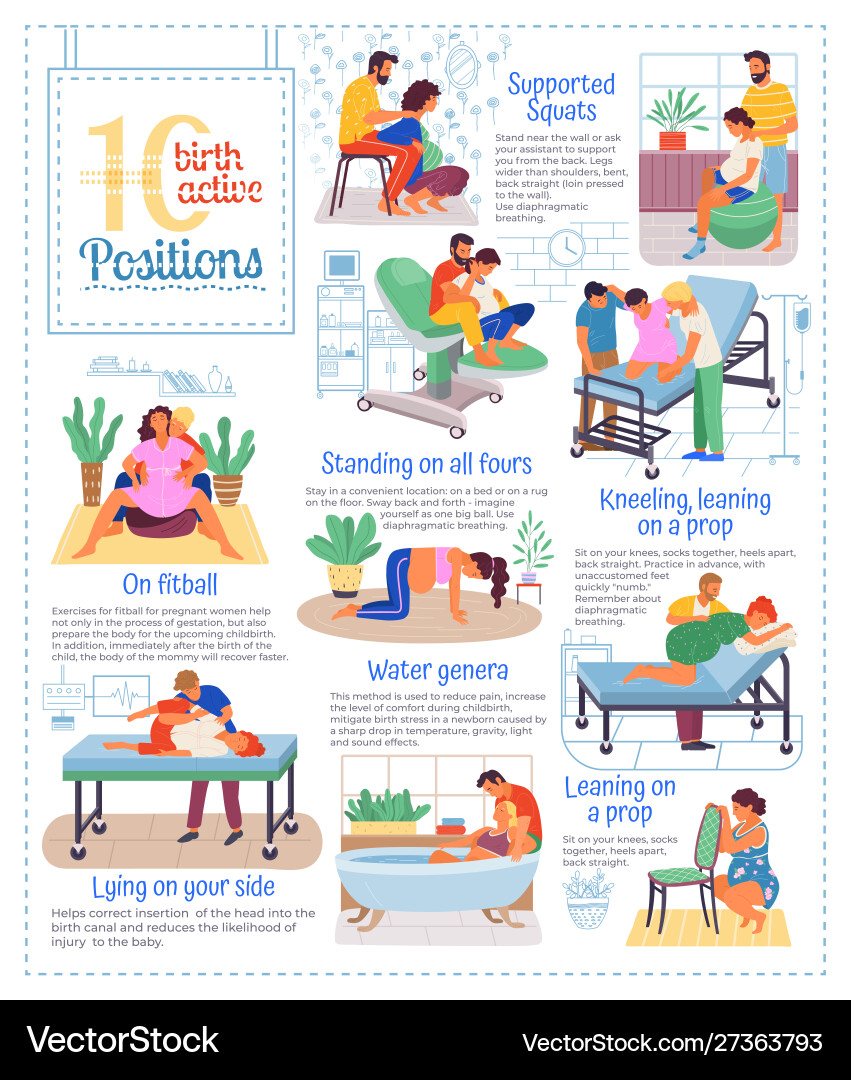 10 birth active positions poster pregnancy info Vector Image