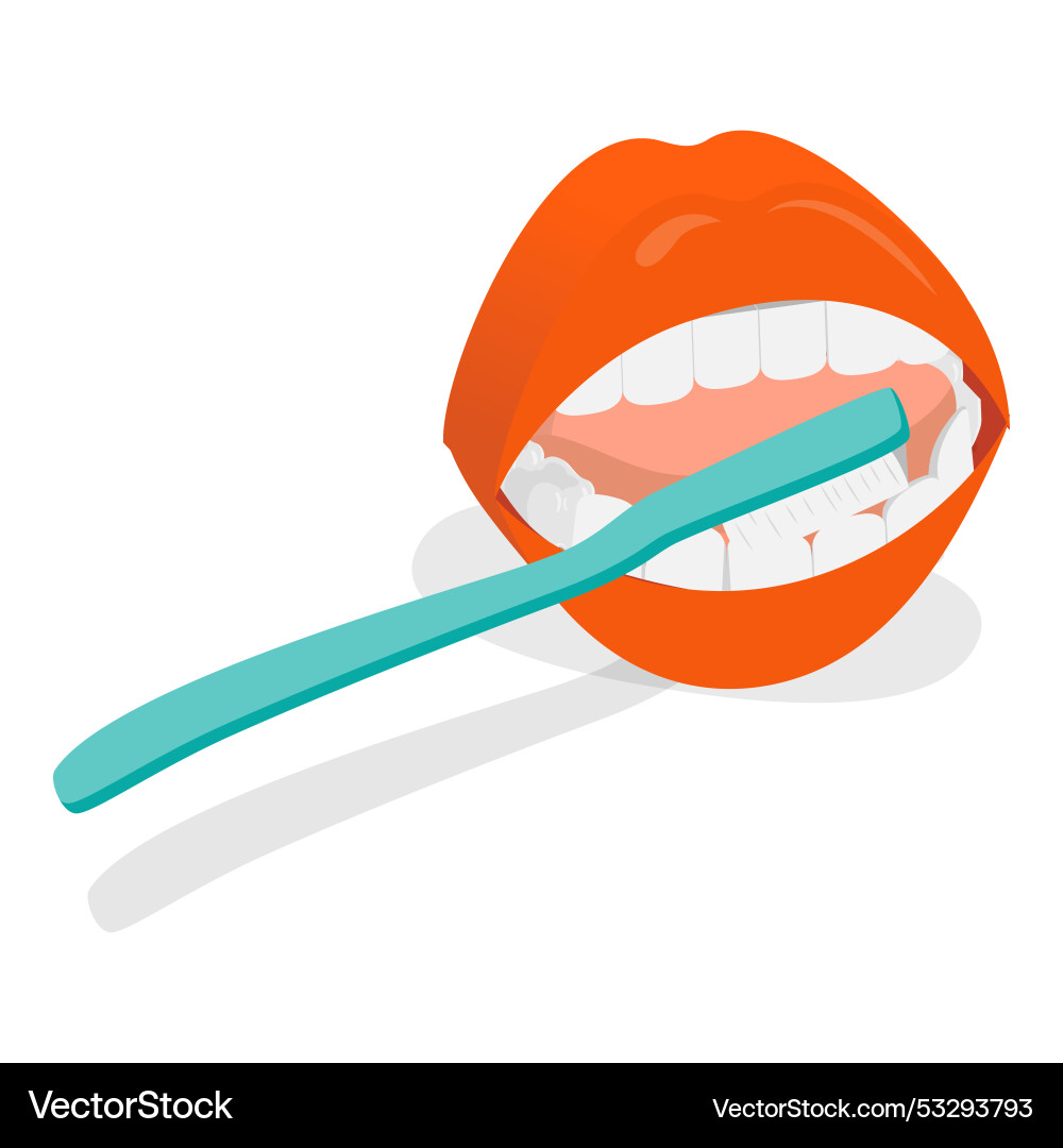 3d isometric flat of teeth Royalty Free Vector Image