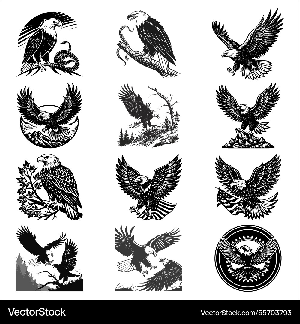 Eagle Talon Vector Images (over 2,300)