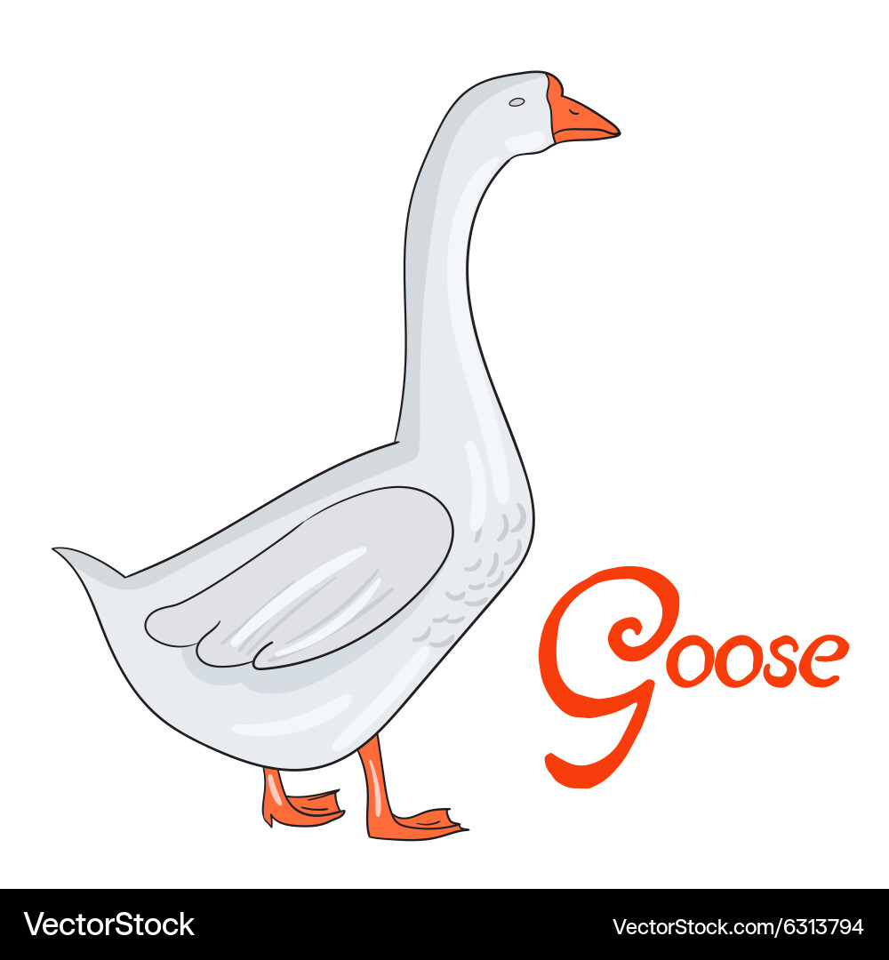 Bird goose Royalty Free Vector Image - VectorStock