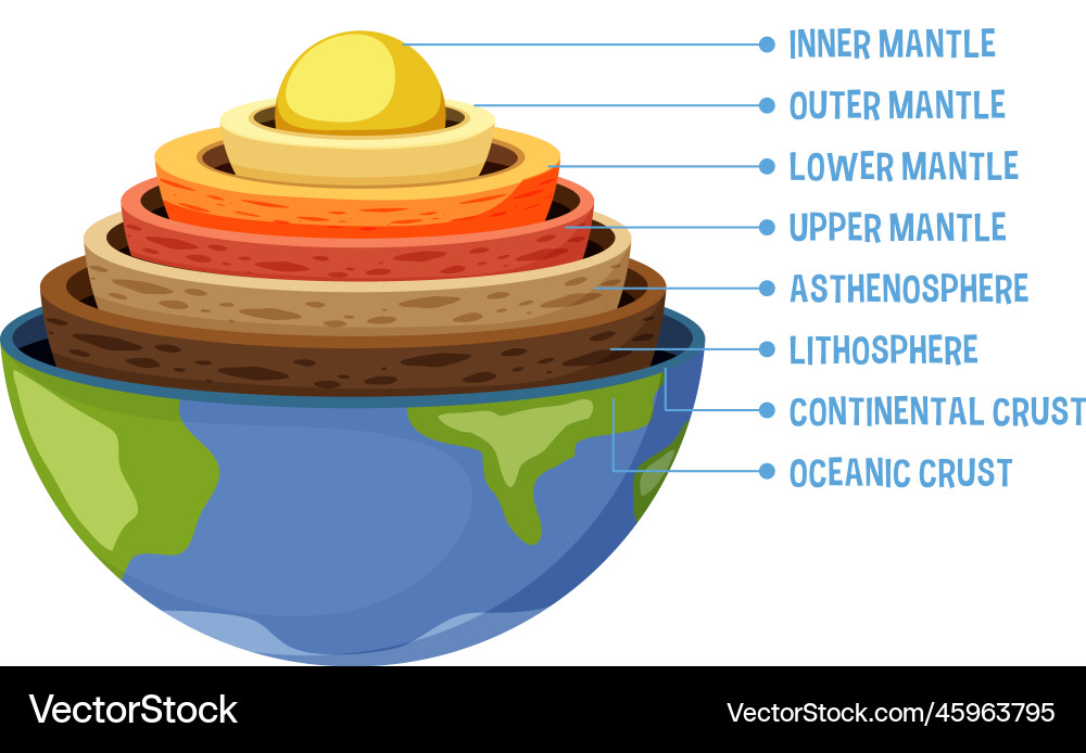 Diagram showing layers of the earth lithosphere Vector Image