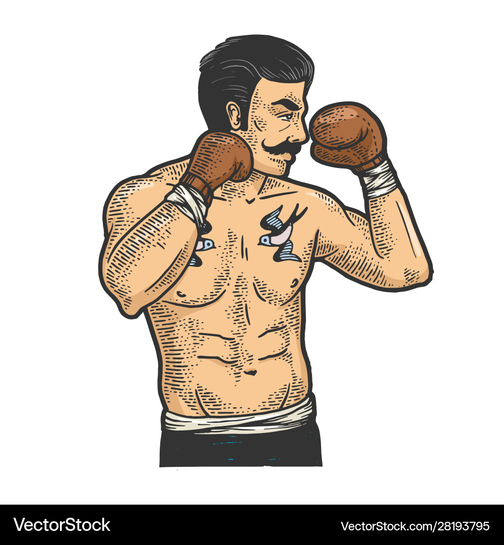 Vintage boxer sketch Royalty Free Vector Image