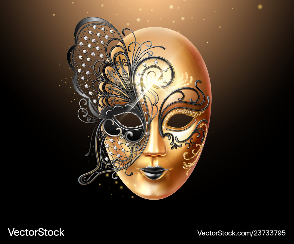 Volto mask decorated with butterfly lace Vector Image