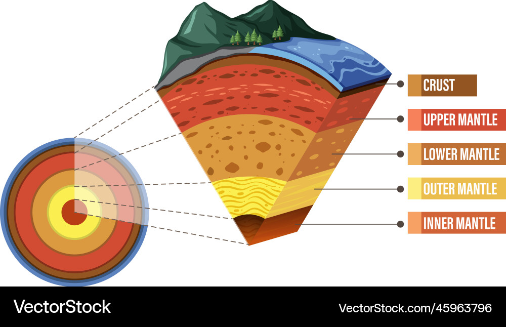 Diagram showing layers of the earth lithosphere Vector Image