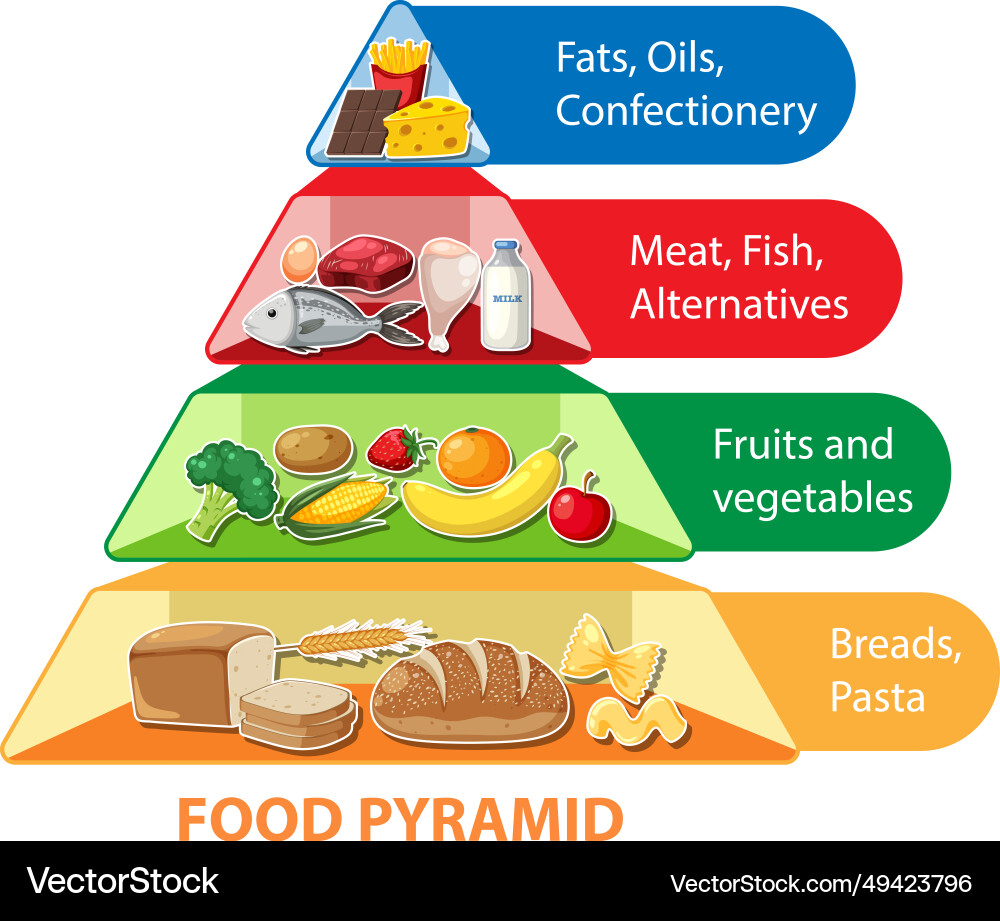 Food Pyramid Nutrition Chart Royalty Free Vector Image