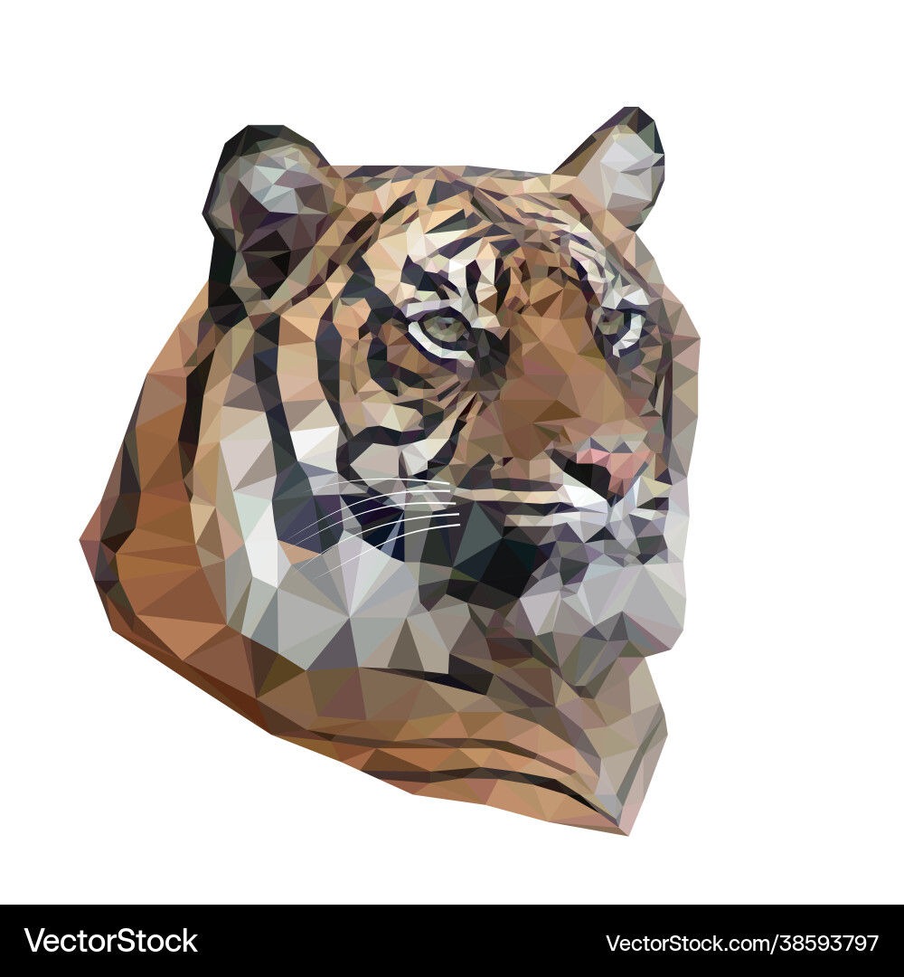Low Poly Tiger Portrait Royalty Free Vector Image