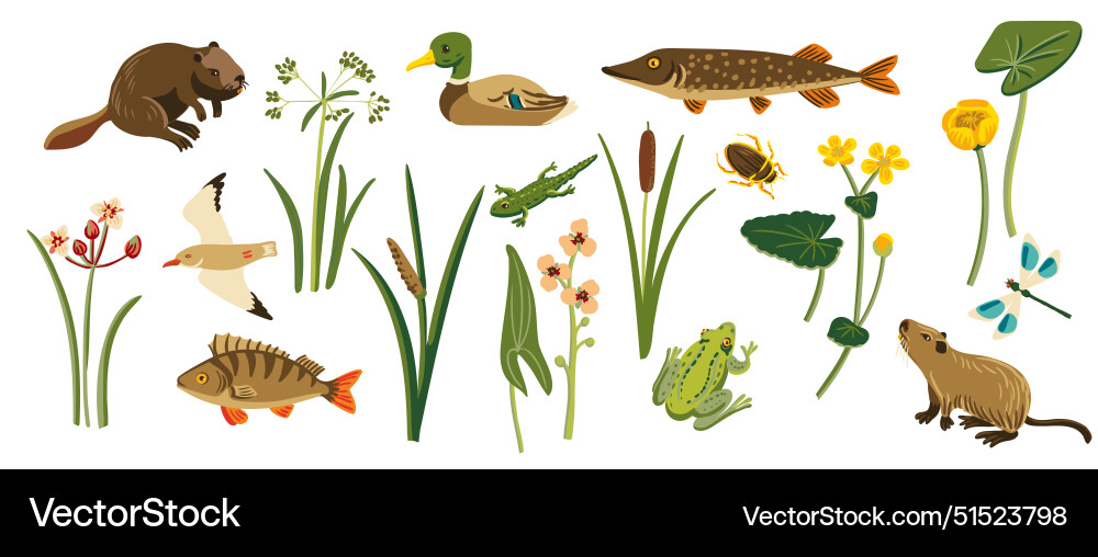 Drawing wild plants and animals Royalty Free Vector Image