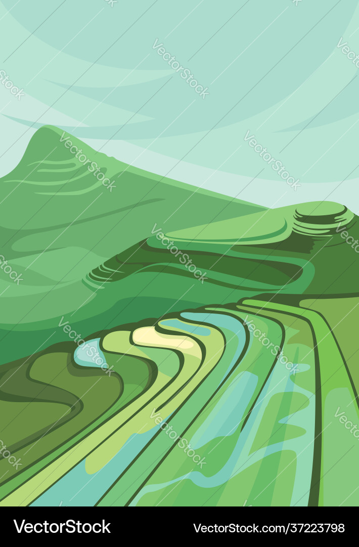 Landscape with paddy fields Royalty Free Vector Image