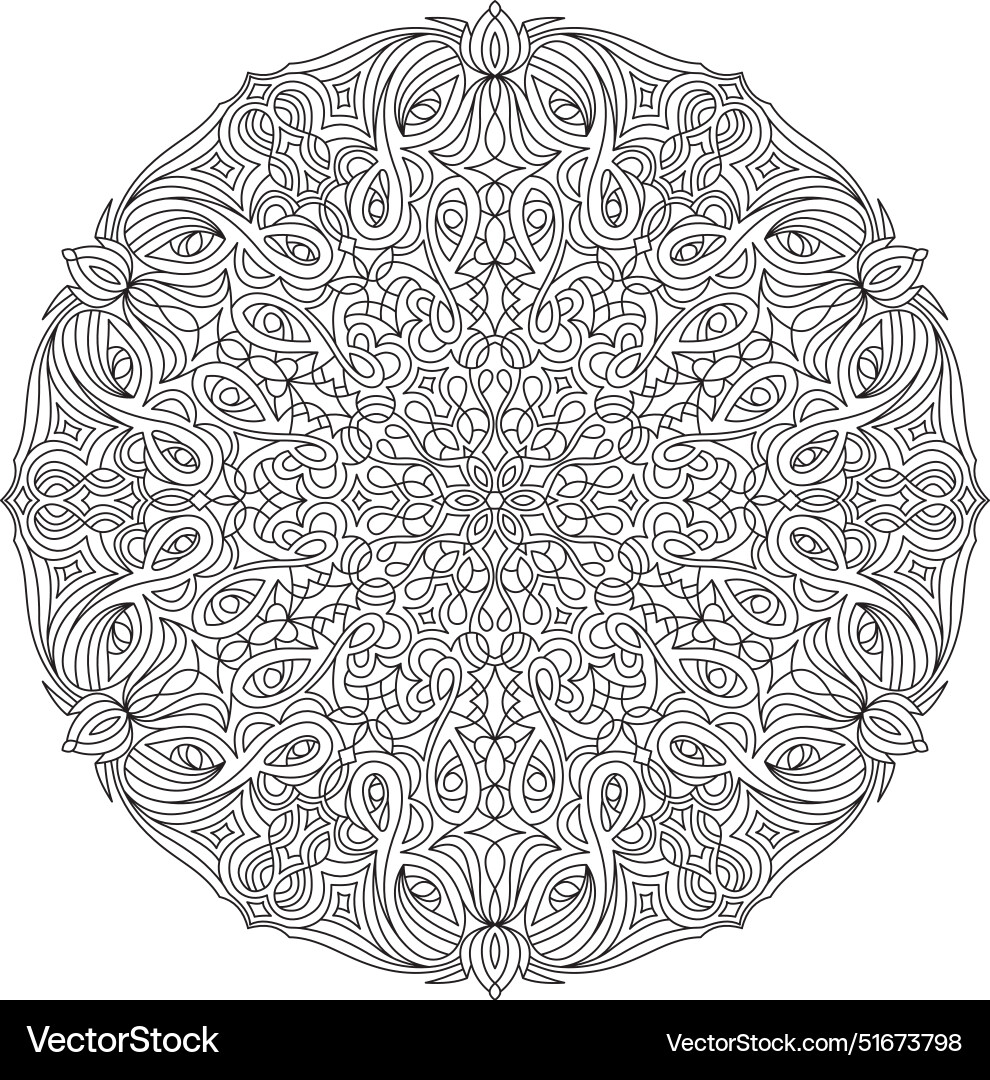 Mandala symmetry design Royalty Free Vector Image