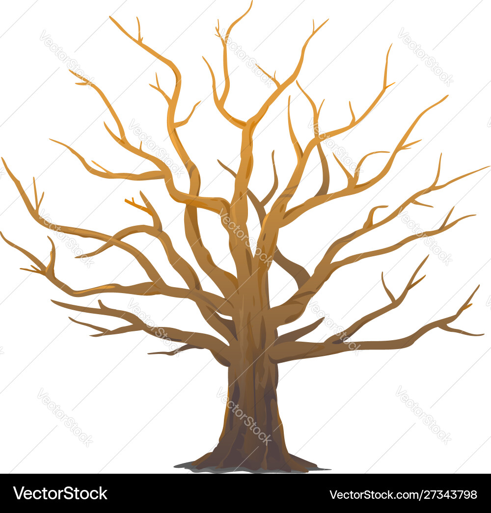 One big oak tree without leaves isolated Vector Image