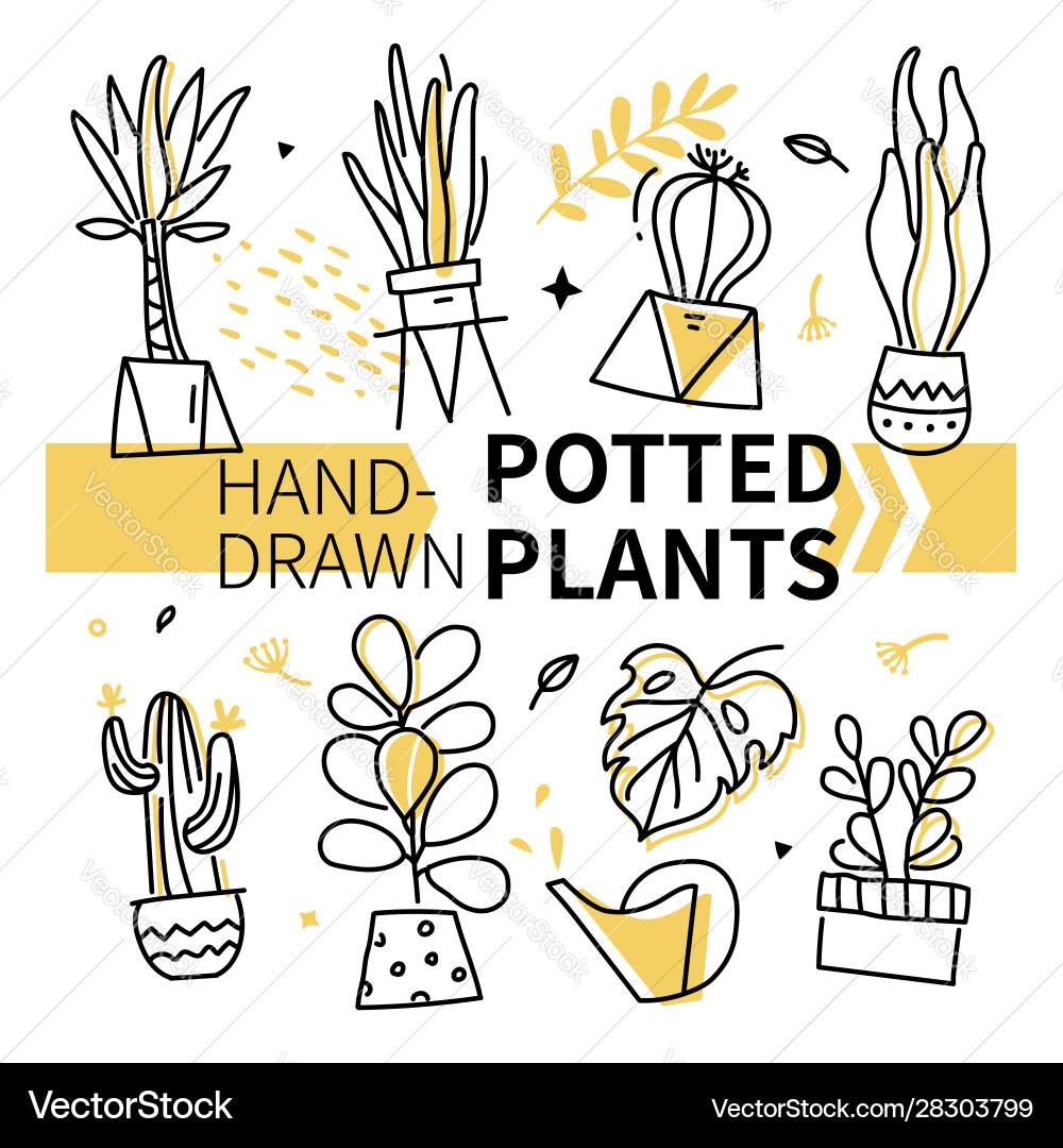 Hand-drawn potted plants collection - set Vector Image