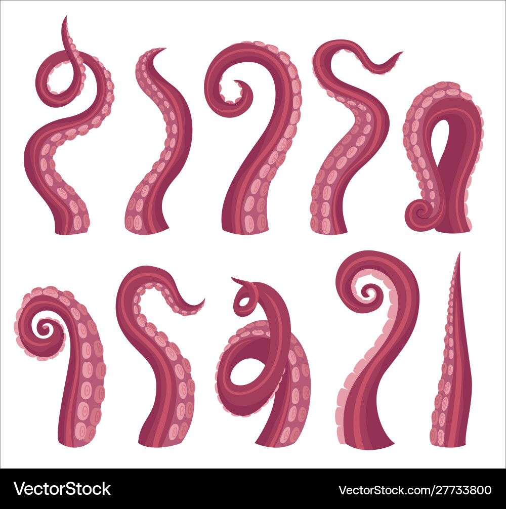 Palpus Vector Images (66)