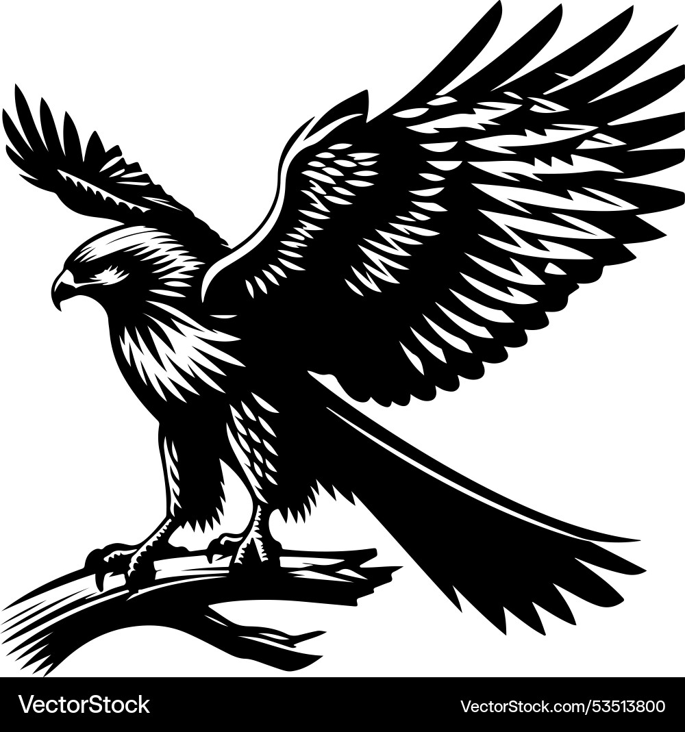 Set of flying eagles line style design Royalty Free Vector