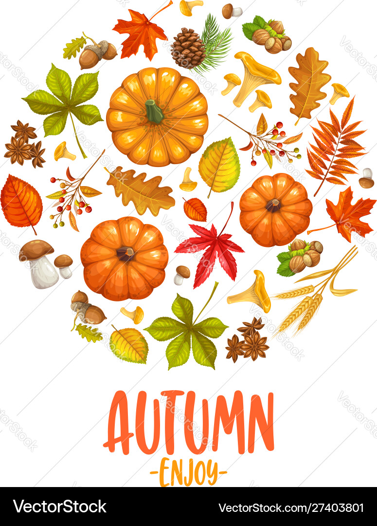 Fall banner with autumn leaves Royalty Free Vector Image