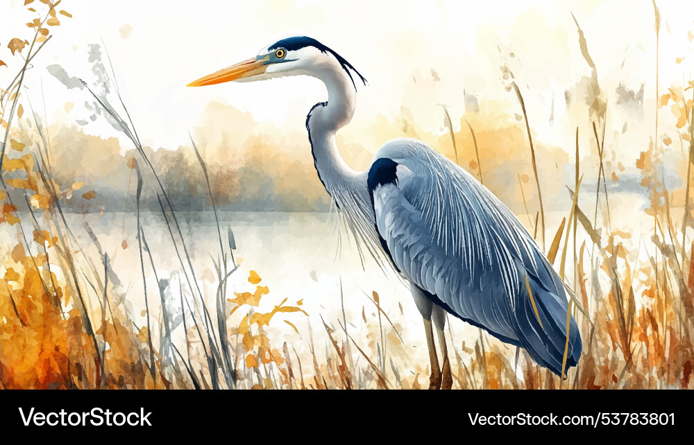 Graceful heron standing among tall reeds with calm