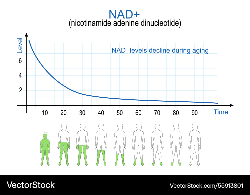 Nad plus Level Chart Lizenzfreies Vektorbild