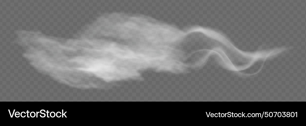 Transparent special effect stands out with fog Vector Image