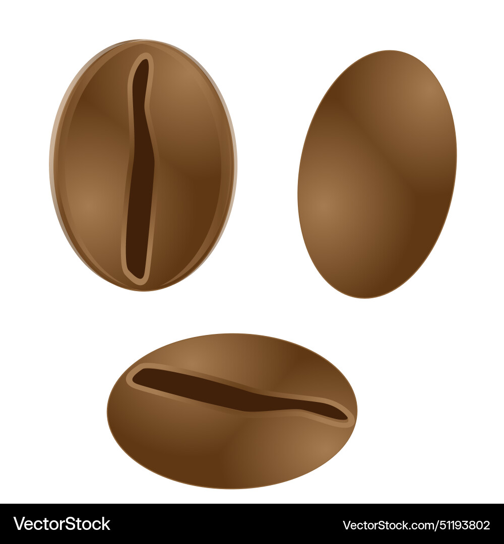 3d realistic coffee beans Royalty Free Vector Image