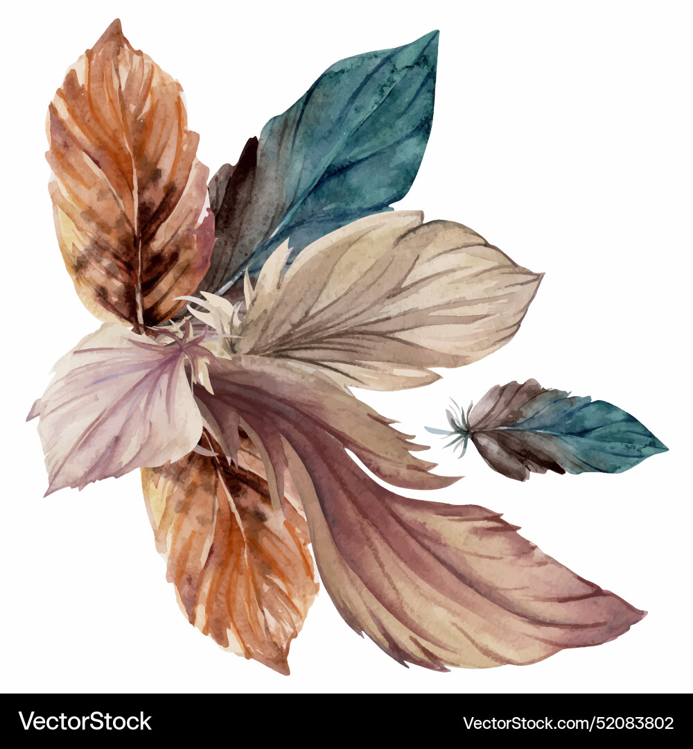 Hand drawn watercolor bird feather plume quill Vector Image