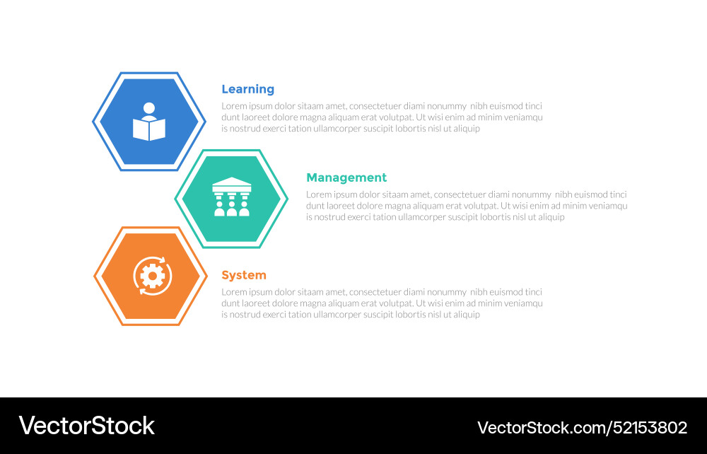 Lms learning management system infographics Vector Image