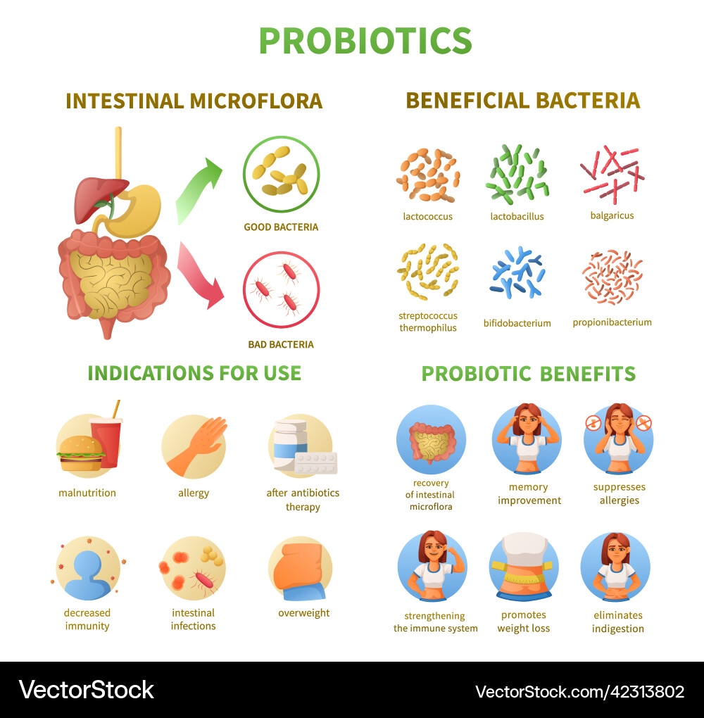 Probiotics infographics cartoon set Royalty Free Vector