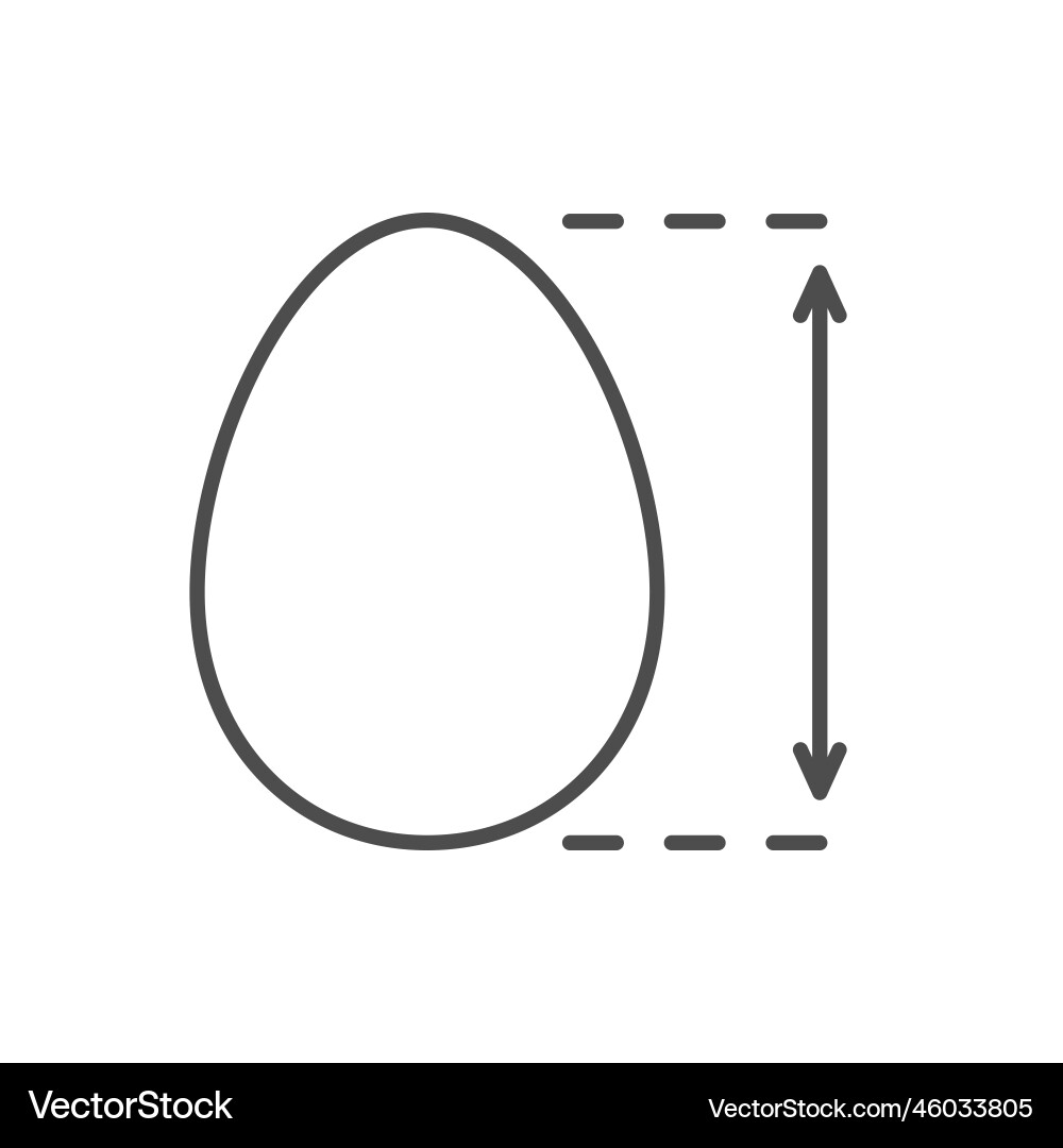 Egg size line outline icon Royalty Free Vector Image