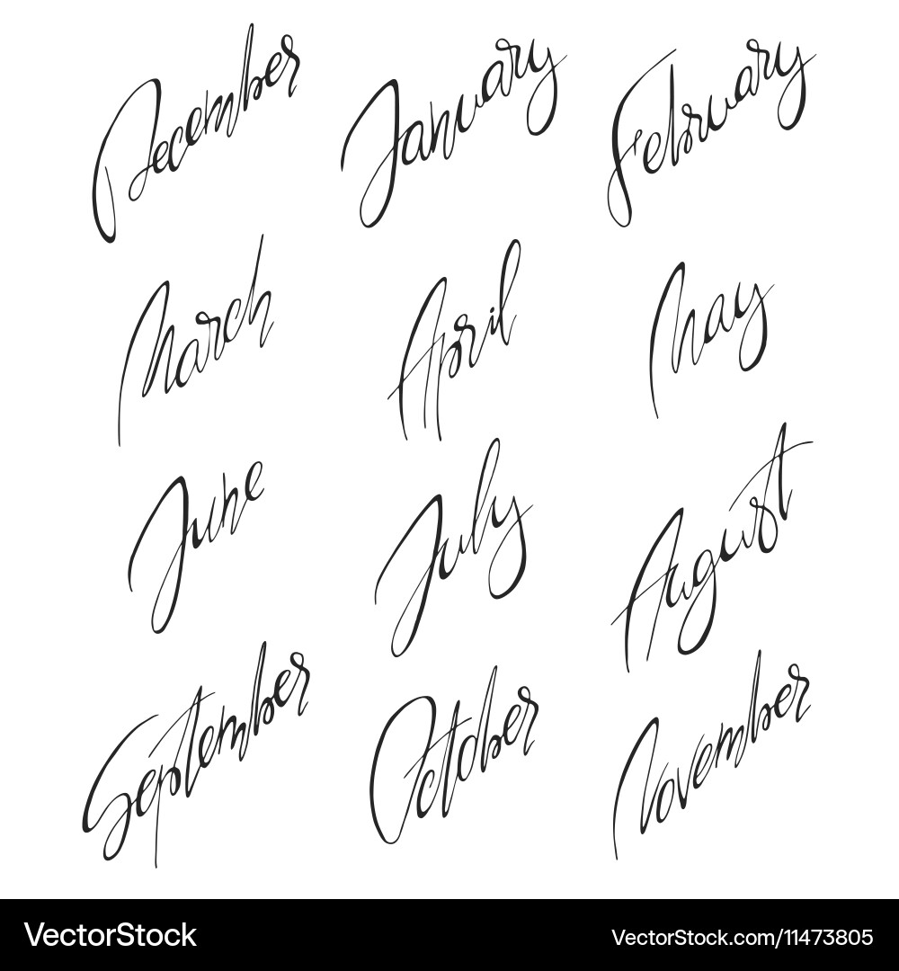 Months handwritten modern calligraphy Royalty Free Vector