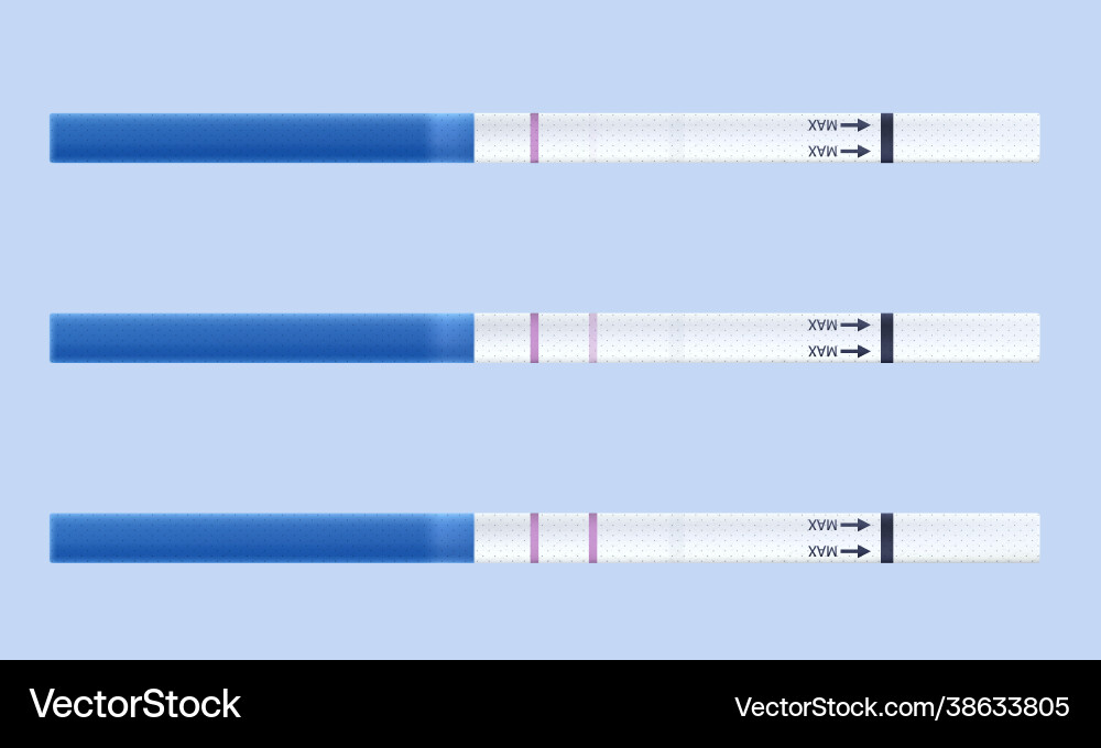 Pregnancy test set positive and negative Vector Image