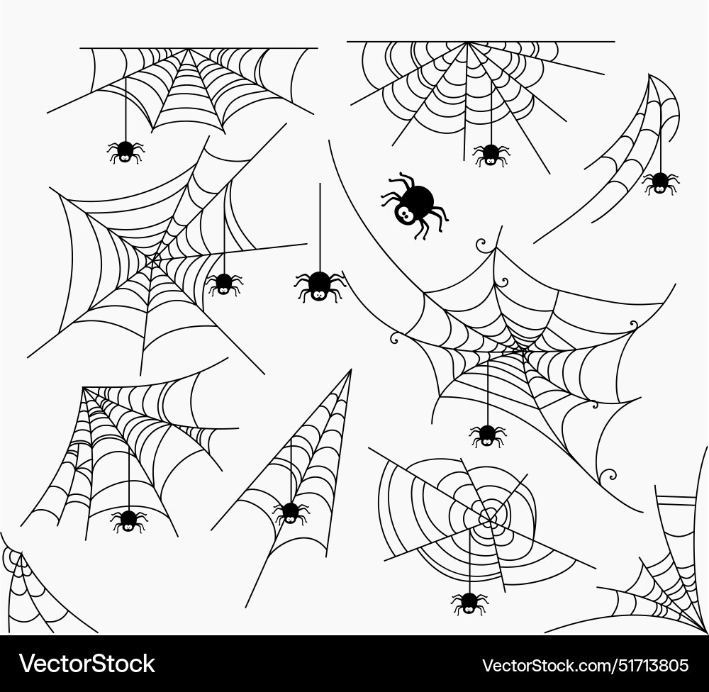 Spiderweb set Royalty Free Vector Image - VectorStock