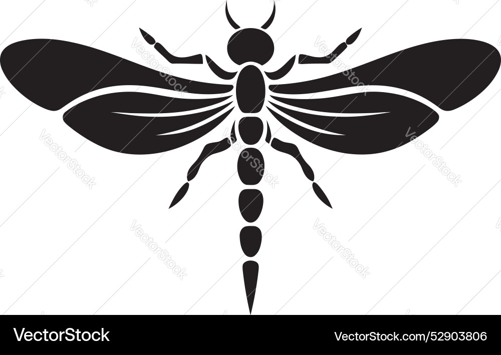 Midnights celestial symphony enchanted dragonfly Vector Image