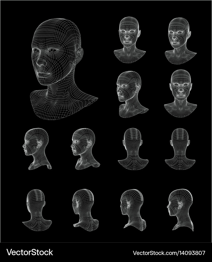 3D Wireframe Head Model Royalty Free Vector Image