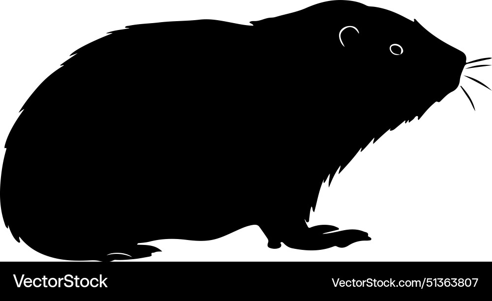 Mole silhouette white background Royalty Free Vector Image