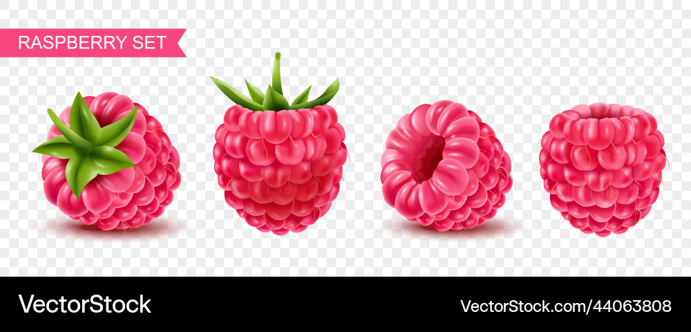Realistic raspberry set Royalty Free Vector Image
