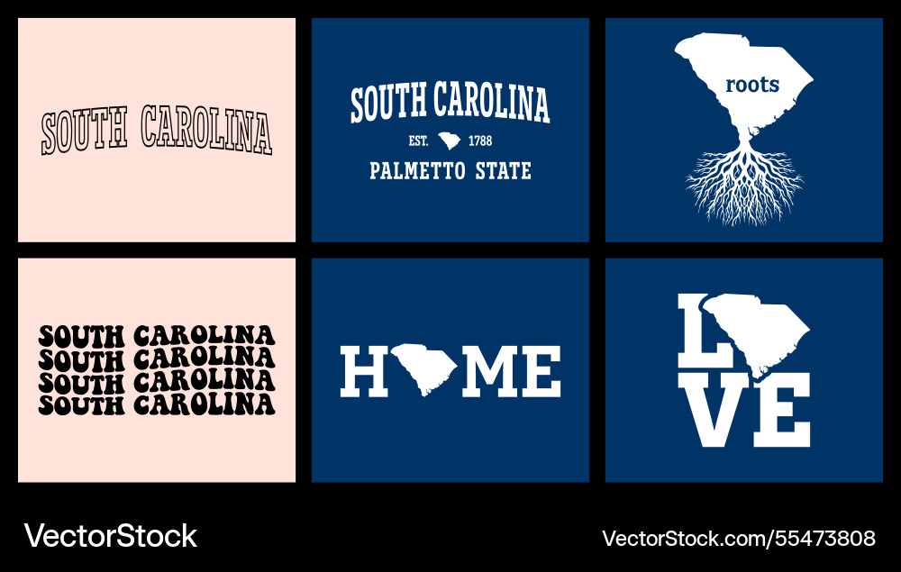 South carolina state text t shirt design Vector Image