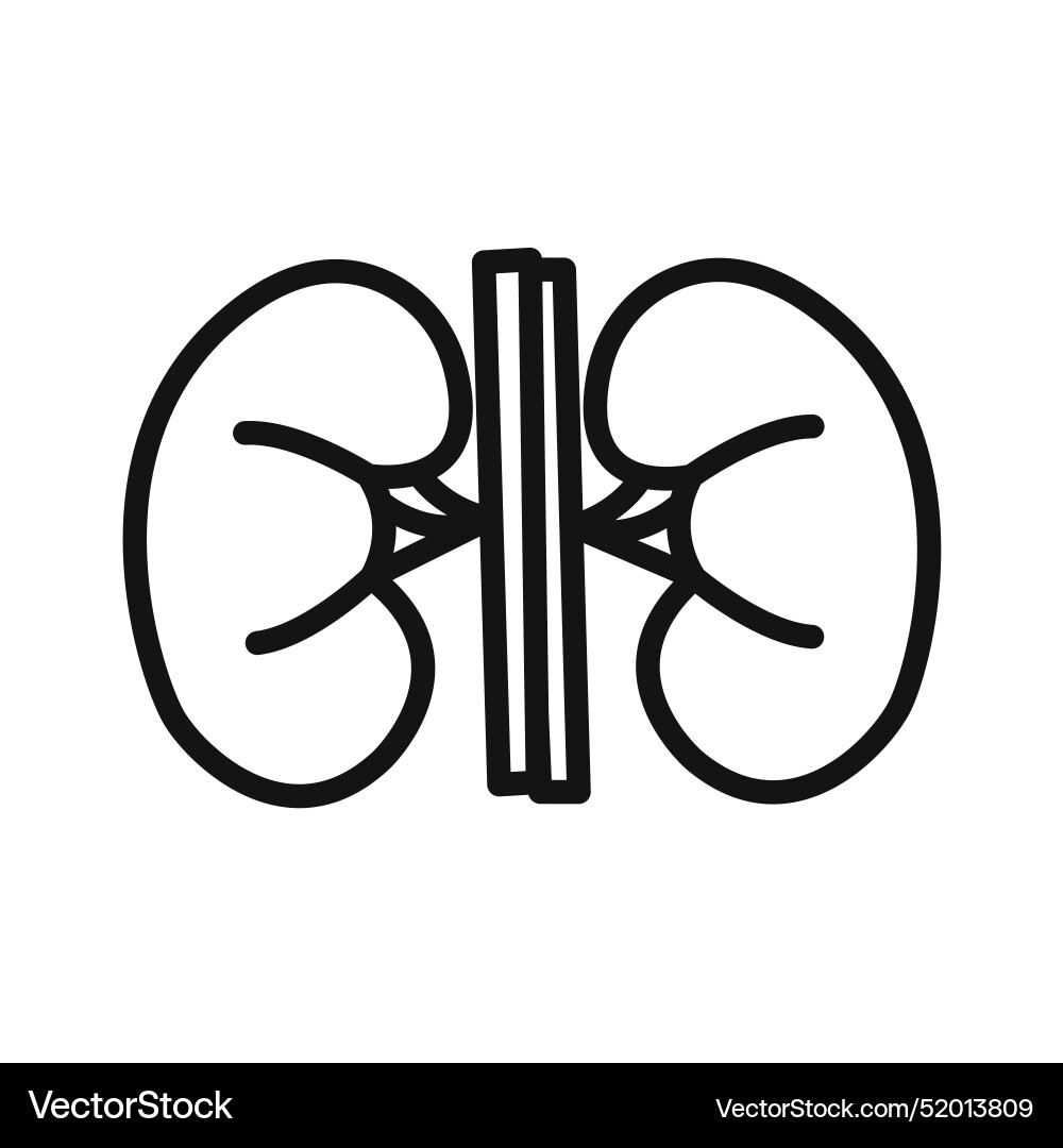 Kidney icon black line art Royalty Free Vector Image