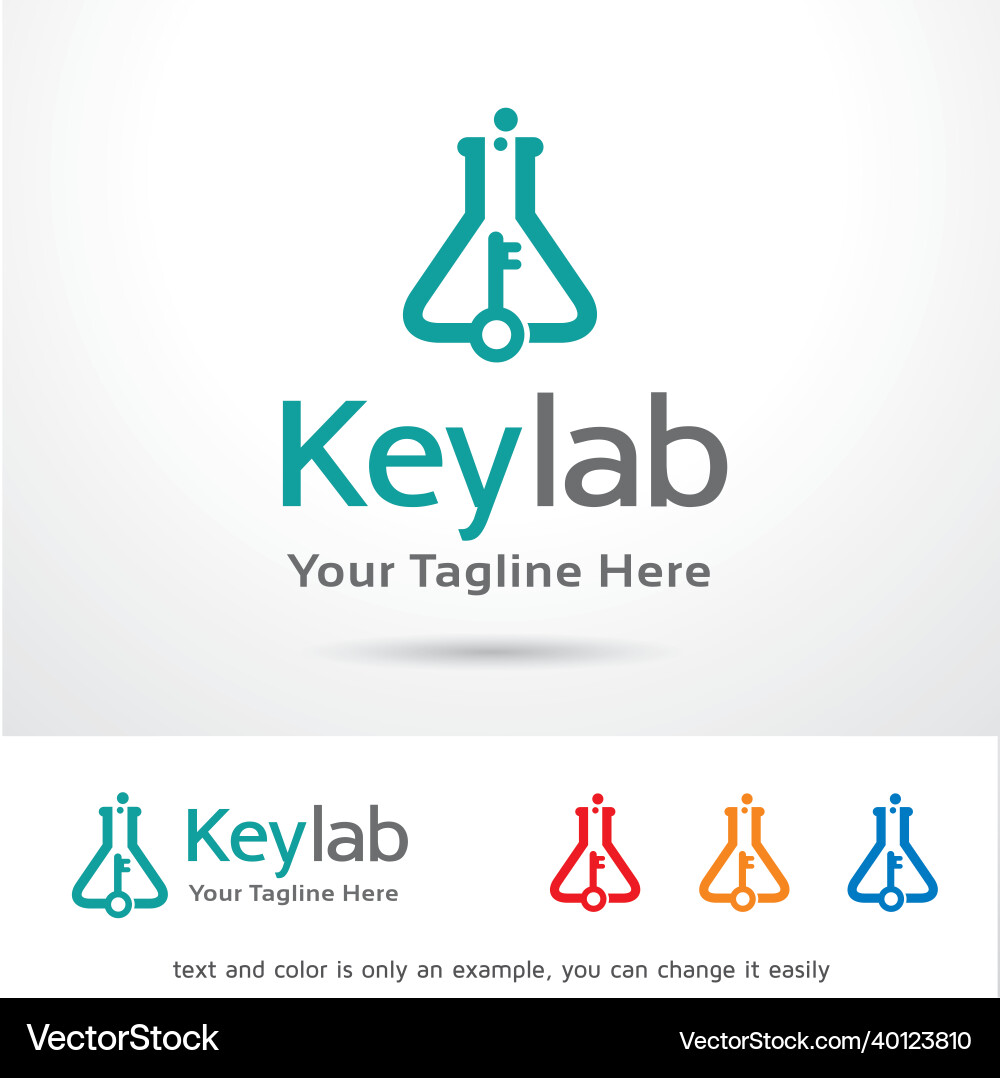 Key lab logo template Royalty Free Vector Image